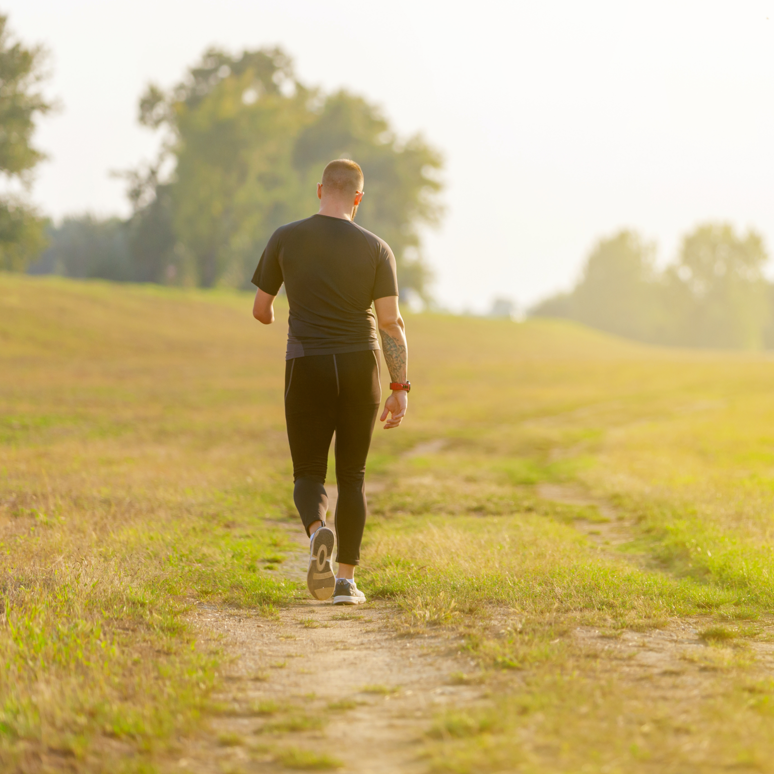 About PreAmp – preamp.dmu.ac.uk